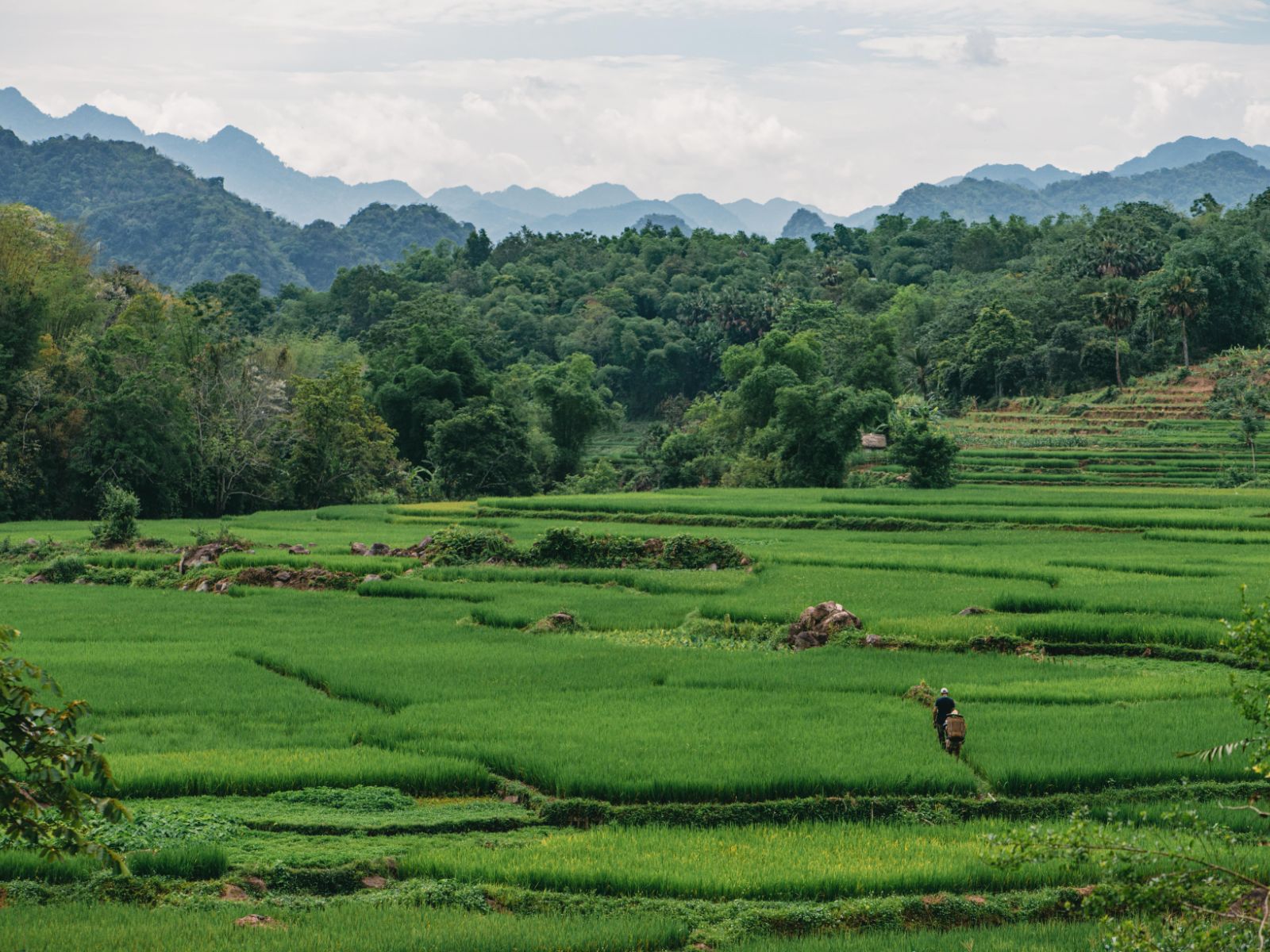 Khám Phá Mai Châu - Vùng Đất Bình Yên | Avana Retreat