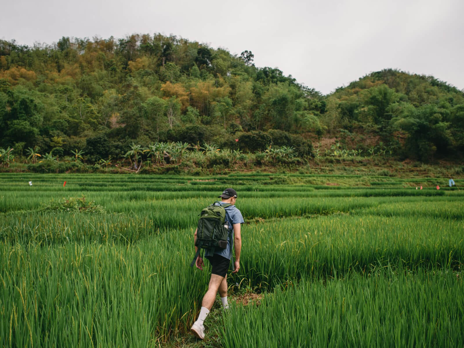 Discover Mai Chau With Avana Retreat Trekking Tour | Avana Retreat